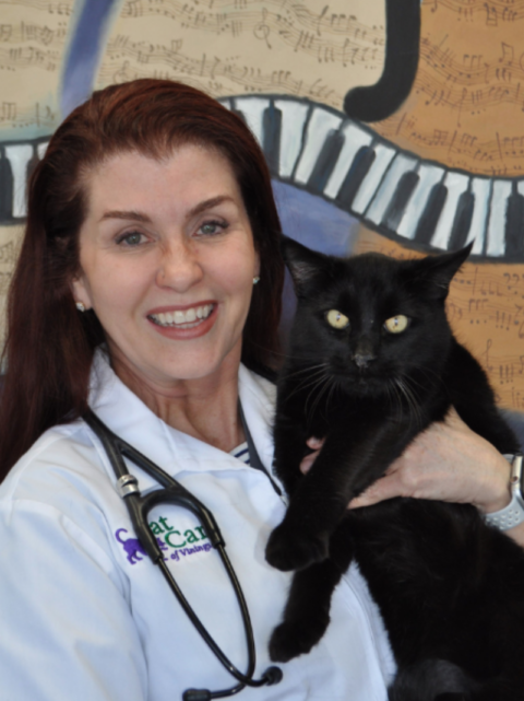 Veterinarian In Atlanta, GA 30339 | Cat Care Of Vinings