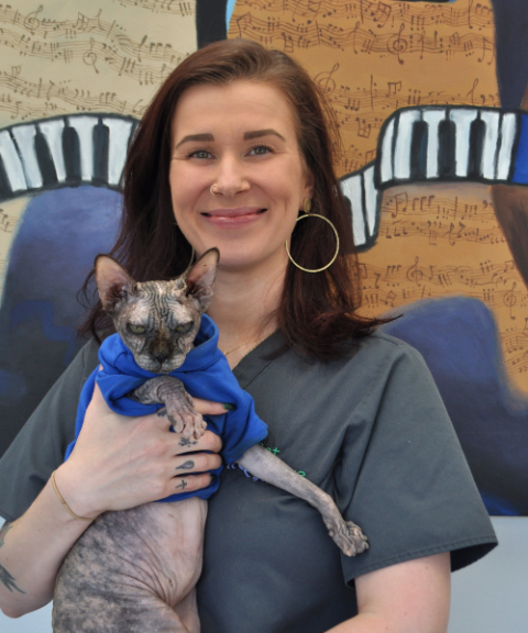 Veterinarian In Atlanta, GA 30339 | Cat Care Of Vinings